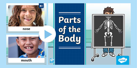 Matching Body Parts Interactive Game | Twinkl Go