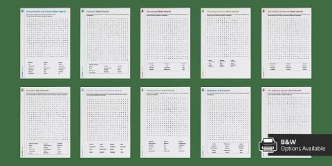 Inheritance: Word Search