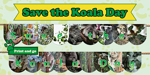 Koala Food Chain Poster F-2