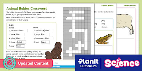 Science: Animals Including Humans: Year 2 Home Learning Tasks