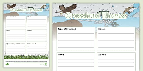 Aquatic Biomes Fact File Template