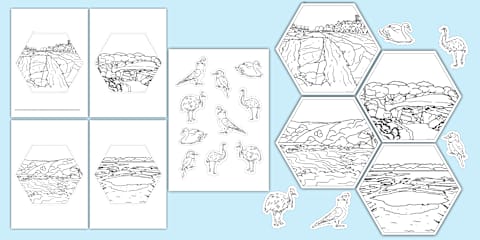 Wild Sketchbook Themed Patterns in Nature Display Poster