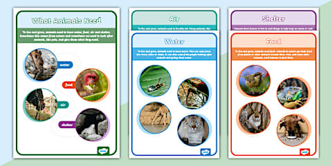 Basic Needs of Animals PowerPoint