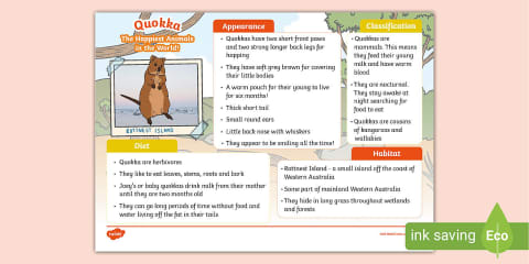 Koalas Fact Sheet - Information Report - Facts about Koalas