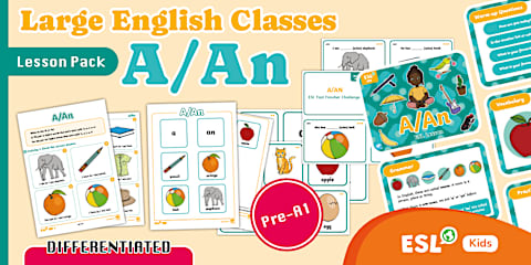 Large English Classes Lesson Pack: Possessive Pronouns