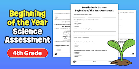 Fourth Grade Beginning of the Year ELA Grammar Assessment