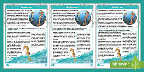 Parts of a Seahorse Labelling Worksheets