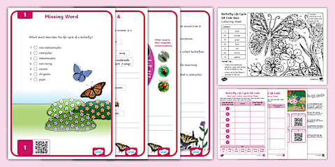 Minibeast Homes Code Hunter - QR Codes, minibeasts, habitats, homes ...