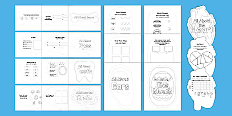 Inside My Body Organs Cut and Paste Worksheet