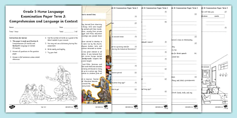 Grade 5 Term 2 Report Writing Assessment