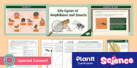 Science: Living Things and Their Habitats: Year 5 Tiered Vocabulary Posters