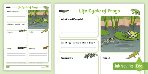Common Frogs Fact File