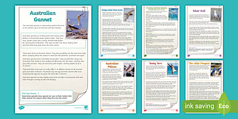 Australian Wetland Animal Fact Sheets