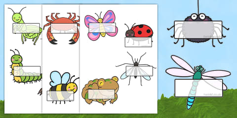 Editable Drawer - Peg - Name Labels (Minibeasts)