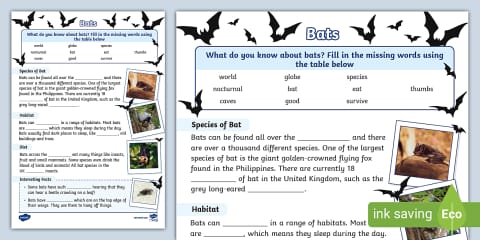 LKS2 All About Bats Reading Comprehension Activity