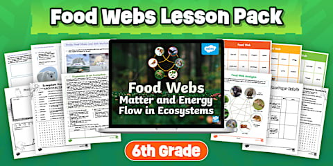 Third Grade Food Webs Reading Comprehension