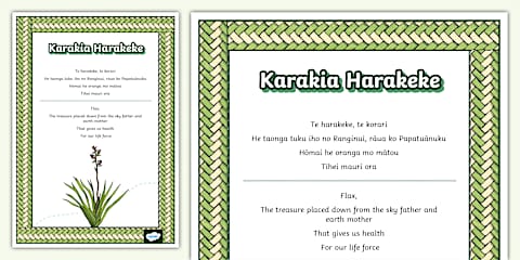 Harakeke Use Timeline | Harakeke Facts Timeine