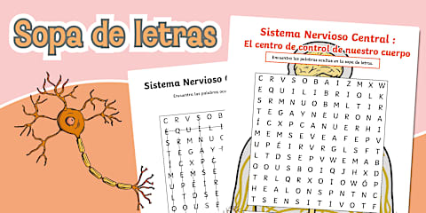 Cuadernillo: sistema nervioso central
