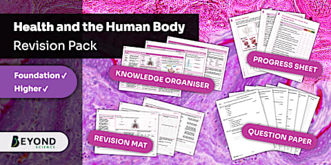 Mixtures, Compounds and Purity True or False? Worksheet