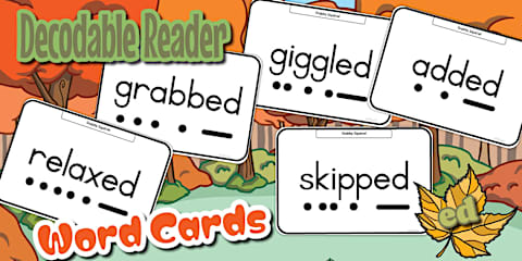 Foundation Phase Phonics - -ch Decodable Reader - Word Cards (CAPS Aligned)