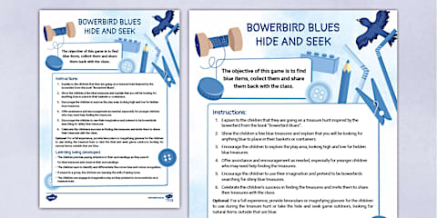 Treasure Activity to Support the Teaching of ‘Bowerbird Blues’