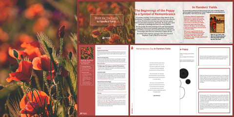 Remembrance Day KS2 Poem Sheet - In Flanders Fields (A4)
