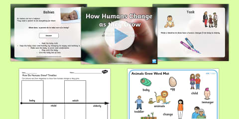 Stages of Growth Sequencing Activity