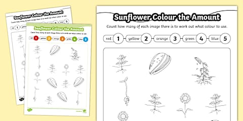 Sunflower Bingo Dauber Number Formation Worksheets