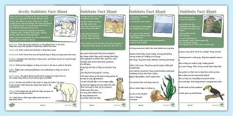 Animal Habitats Poster Project: Habitats Research Activity