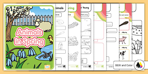 Spring Animals and Their Babies Sorting Worksheet
