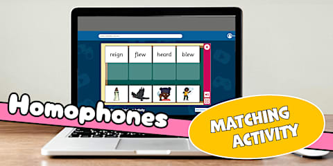 Homonyms: Homophones and Homographs Interactive Matching Activity
