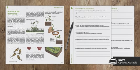 Plant Tropism Responses Worksheets