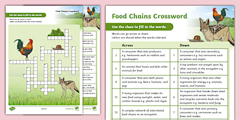 Complete the Chain Activity