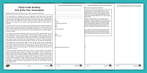 Third Grade End of the Year Math Assessment