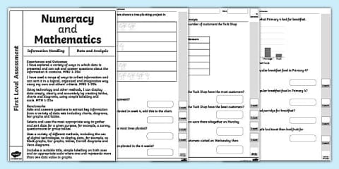 Interactive PDF: First Level Numeracy and Mathematics Assessment - Data and Analysis