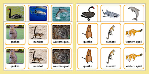 Australian Animals Class Organisation Resource Pack