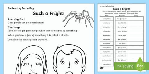 Overcoming Fears Activity