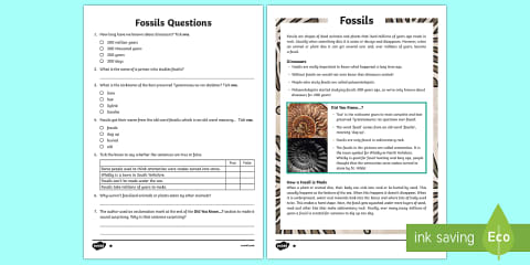 KS1 Fossils Fact File Template