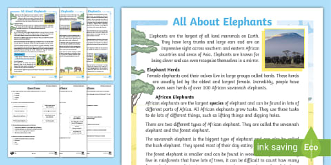 All About Animal Habitats Activity Booklet for PreK-K