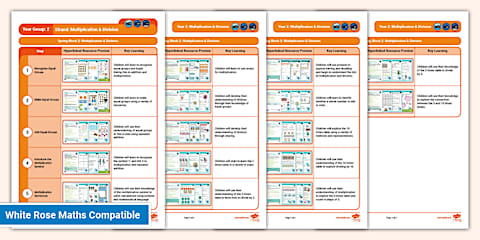 Year 2 Statistics Diving into Mastery Maths Overview