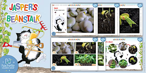 Grow a Bean in a Bag EYLF Science Experiment and Prompt Card Pack