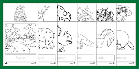 Forest Animals Gross Motor Activity Cards