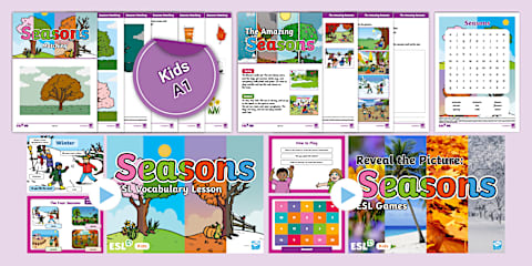 ESL Sentence Structure Lesson Plan Pack