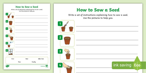 Planting a Seed Instructions Template