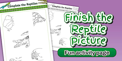 Foundation Phase - Life Skills - Emergency Services - Hexagon Display ...