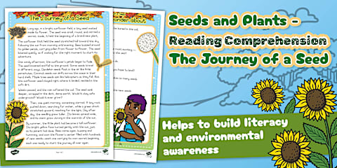 Grade 1 Life Skills - Term 3 -Beginning Knowledge and Personal and ...