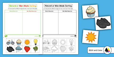 Natural Materials Sorting Activity