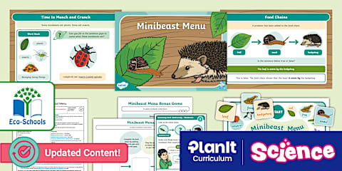 Science: Biodiversity - Minibeasts: Plants and Microhabitats Year 2 ...