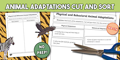 Animals and their Adaptations Fact Cards