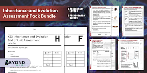 KS3 Biology Higher Revision Mat Bundle